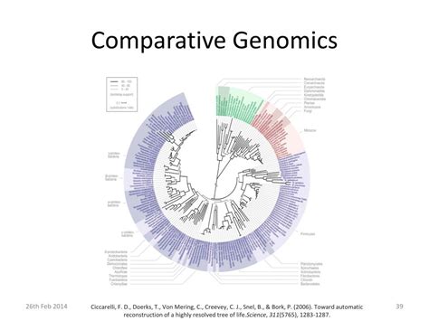 Ppt Functional Annotation And Comparative Genomics Powerpoint Presentation Id 1604116