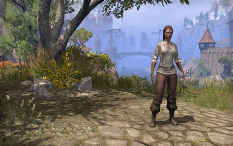 Elder Scrolls Online Setup Issue Rsteamdeck