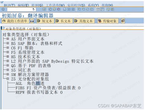 【sap Abap】 Sap文本翻译1，程序翻译后slxtsap Slxt Csdn博客
