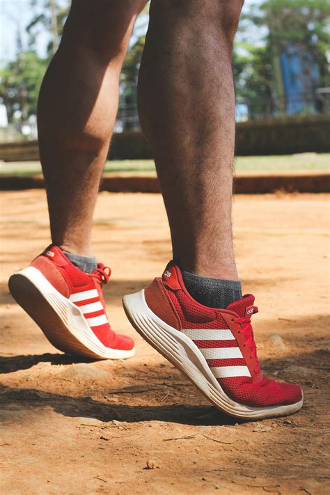 有关人 休閒 健康 健康的习惯 健康的生活型態 健身 健身习惯 健身追踪 公園 动机 城市公园 城市公園 夏天 天性 年轻的成年人 戶外 户外健身 户外运动