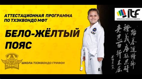 Бело-жёлтый пояс - Аттестационная программа Тхэквондо - YouTube