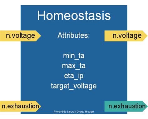 PymoNNto Homeostasis Md At Master Trieschlab PymoNNto GitHub