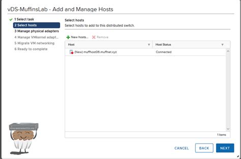 Getting Started With Vmware Distributed Switching