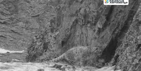 БАЙГАЛИАХАМГААЛЪЯ