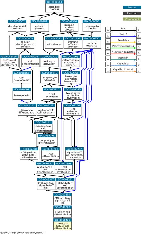 Analysis Of Immune Pathways In Primary Cells Derived From Bipolar