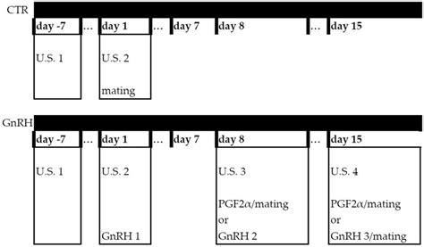 Experimental Protocol—the Figure Shows The Exact Timing At Which
