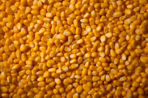 Free Photo Overhead View Of Corn Kernels