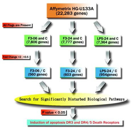 the flow chart for the microarray data analysis we used affymetrix