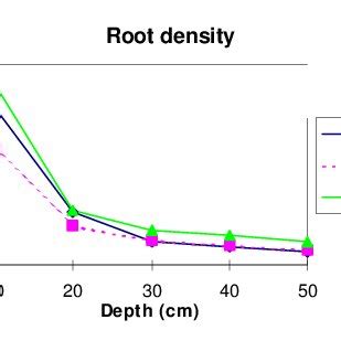 Root Density As Measured In May Download Scientific Diagram