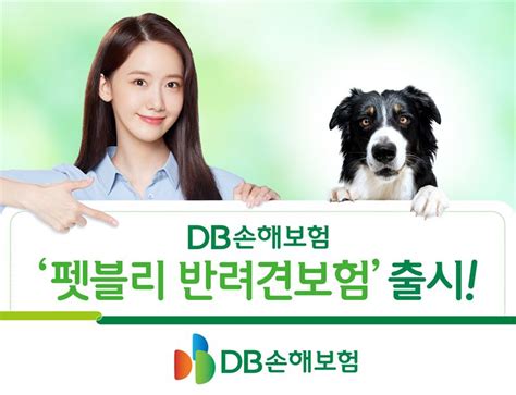 현장체크 Db손보 현대해상 Kb라이프생명 푸본현대생명 뉴스포트