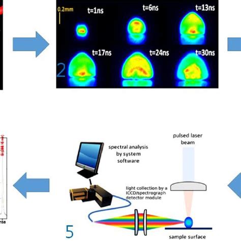 Chemical Structure Of Hips Download Scientific Diagram