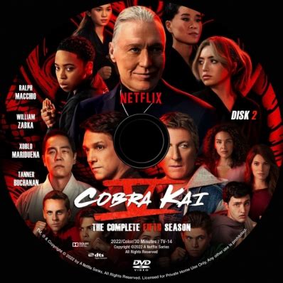 CoverCity DVD Covers Labels Cobra Kai Season 5 Disk 2