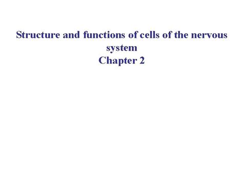 Structure And Functions Of Cells Of The Nervous