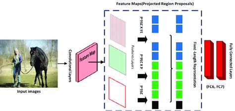 spp net architecture [77] an spp net spatial pyramid pooling layer