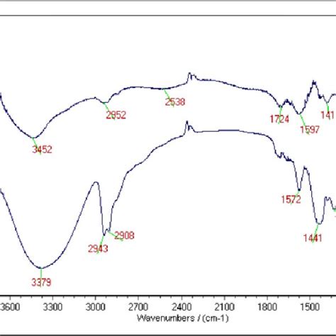 Pdf Superabsorbent Polymer Composites Derived From Polyacrylic Acid Design And Synthesis