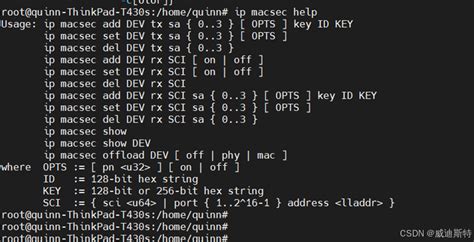 Linux网络命令：用于配置和管理媒体访问控制mac安全的命令ip Macsec详解linux Macsec Csdn博客