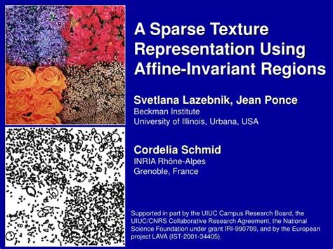 ppt a sparse texture representation using affine invariant regions