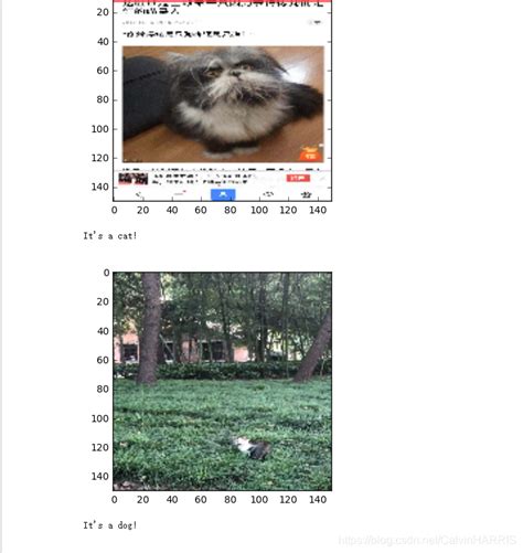 基于vgg16预训练网络特征提取在小型训练集上的应用（kaggle 猫狗分类）（《python深度学习》）vgg16的优点