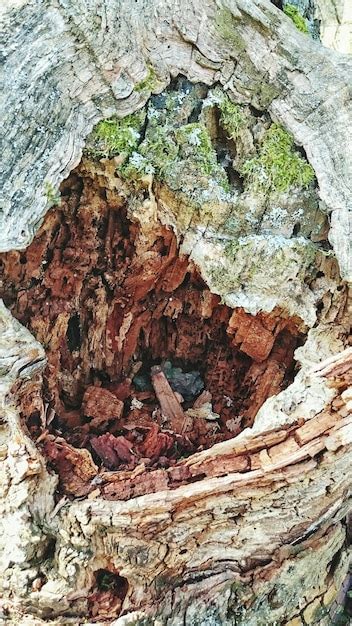 Page 3 Geologic Layers Images Free Download On Freepik