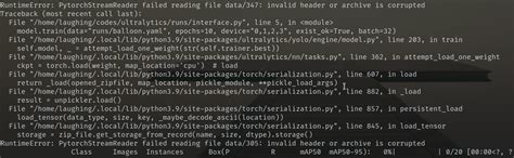 Fix Ddp Merge Requests Ultralytics Ultralytics GitLab