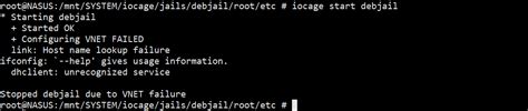 Debian Devuan Linux Jail Network Access Problems Truenas Community