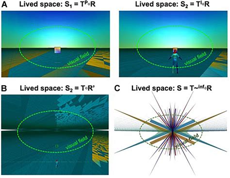 Account Of Psychological Phenomena A Projective Solution To Download Scientific Diagram