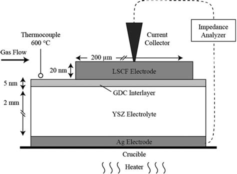 Schematic Not To Scale Of The Microelectrode Testing Apparatus Used