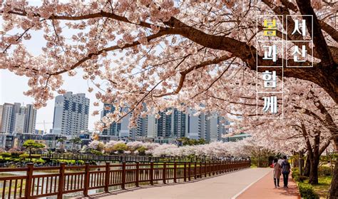 수성구청 물망이가 알려드리는 안전한 추석연휴 보내는 꿀팁 수성구청 「stayhome 프로젝트」로 교육‧문화‧체육‧공연까지 안방에서 즐겨보세요😉 바로가기
