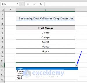 Data Validation Drop Down List with VBA in Excel (7 Applications)