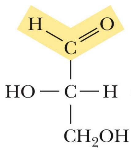 Bsc4053 Chapter 7 Structures Flashcards Quizlet Bsc4053 Chapter 7 Structures Flashcards Quizlet