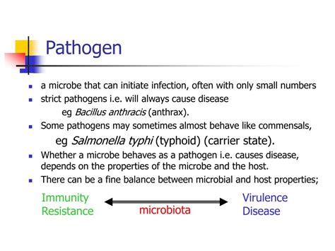 Ppt Normal Flora Powerpoint Presentation Free Download Id 1196480