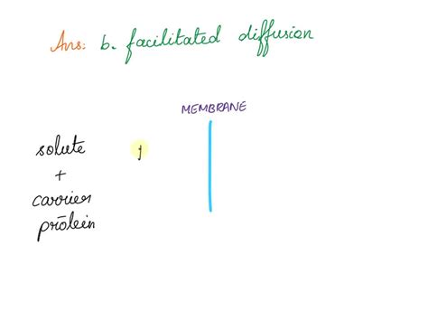 Solved Question 6 0 0 05 Pts In This Type Of Transport Process A Solute E G Glucose Binds