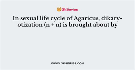 In Sexual Life Cycle Of Agaricus Dikaryotization N N Is Brought About By