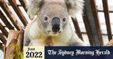 Nsw Biodiversity Offsets Scheme Lacks Transparency Parliamentary Committee