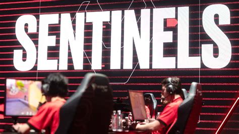 Sentinels Announce Valorant Showmatch Against Moist X Shopify Dexerto