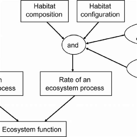 Illustration Of How Habitat Composition And Configuration Impact Download Scientific Diagram