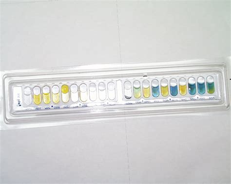 Api For Microorganism Identification Us Geological Survey