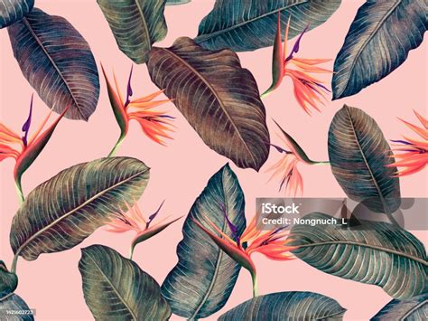 다채로운 나뭇잎 원활한 패턴 배경으로 낙원의 수채화 그림 새 수채화 손으로 그린 그림 벽지 섬유 하와이 알로하 정글 패턴을위한 열대 이국적인 잎 인쇄물 트로피컬 패턴에 대한