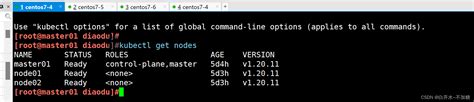 【kubernetes】关于k8s集群如何将pod调度到指定node节点 亲和与反亲和等 pod指定node csdn博客
