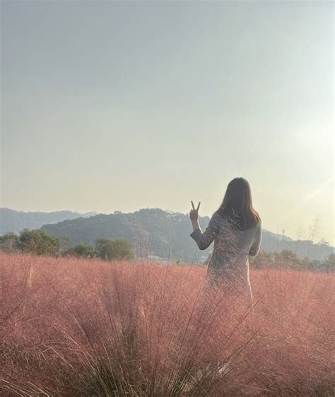 여주 가볼만한곳 추천 가을에 가기좋은 여주아울렛 메이데이카페 당남리섬에서 핑크뮬리 네이버 블로그