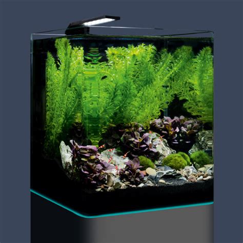 Dennerle Nanocube® Complete 20l Aquariumtrader