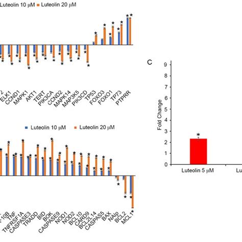 Evaluation Of Apoptosis Using Annexin V Pi Double Staining Following