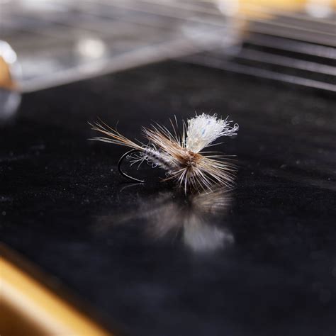 Candychute Adams Candy Flies