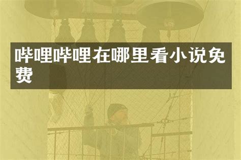 哔哩哔哩直播推流码在哪里 哔哩哔哩百科知识 知视百科