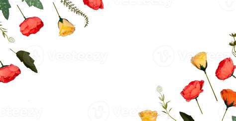 Rose Flowers Frame Copy Space 29276791 Png