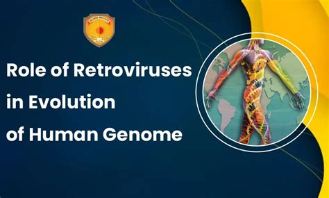 Role Of Retroviruses In Evolution Of Human Genome