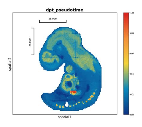 Trajectory Analysis Stereopy