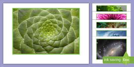 Fibonacci Sequence In Artwork Creative Activity Pack