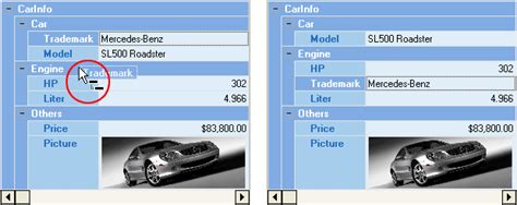 Customization Form Overview VCL DevExpress Documentation
