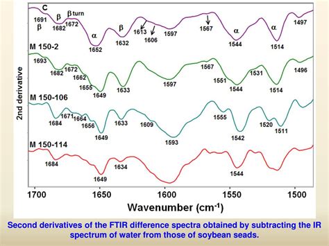 PPT COMPARISON OF FTIR SPECTRA OF BIOMOLECULES ACQUIRED USING SYNCHROTRON IR AND THERMAL IR